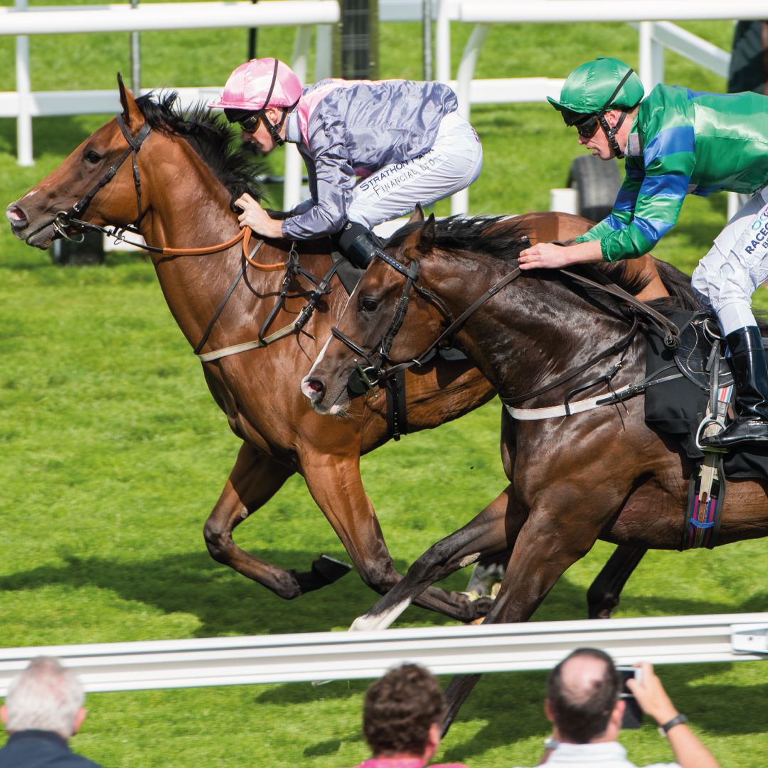 Easter Saturday at Musselburgh Racecourse
